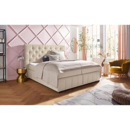 Collection AB Boxbett &raquo;Vancouver&laquo; inkl. Topper, 3 Matratzenarten und in H2, H3 und H4 w&auml;hlbar beige