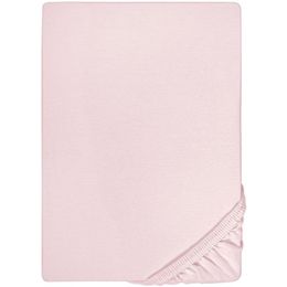 Biberna Spannbettlaken &raquo;Thea&laquo; aus Baumwolle, f&uuml;r Matratzen bis 25 cm H&ouml;he, Bettlaken, Spannbetttuch rosa Jersey-Elasthan, Obermaterial: 97% Baumwolle, 3% 