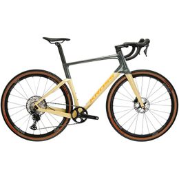 KROSS Gravelbike »Gravelbike Esker RS 1.0 28" grau« 12 Gang Shimano GRX RX822 Schaltwerk Kettenschaltung grau+grau