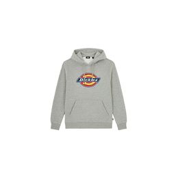 Dickies Sweatshirt 'Classic' Herren Gr&ouml;&szlig;e M grau