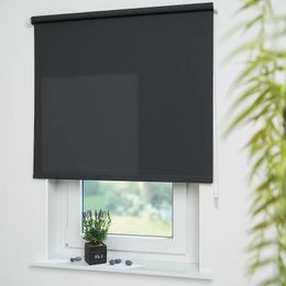 Liedeco Seitenzugrollo &raquo;Uni&laquo; Lichtschutz mit Bohren freih&auml;ngend Welle 36 mm stabiler Kettenzug dunkelgrau + Bitte ausw&auml;hlen Obermaterial: 95%...