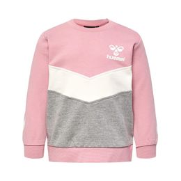 Hummel Sweatshirt Hmlskye Mädchen in ZEPHYR | Gr.: 62