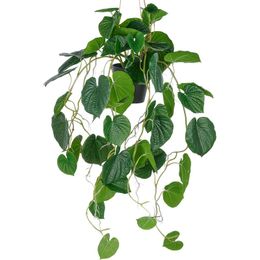 Creativ green Kunstpflanze &raquo;H&auml;ngende Peperomia caperata&laquo; mit &uuml;ppigen Ranken gr&uuml;n Kunststoff