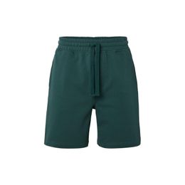 Tchibo - Sweatshorts - Herren - Gr. L - dunkelgr&uuml;n