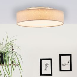 BRILLIANT LEUCHTEN Baska Deckenleuchte LED Silber, 1-flammig