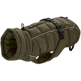 Hunter Hundemantel Paxson oliv / 30