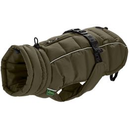 Hunter Hundemantel Paxson oliv / 45