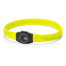 Tchibo - Hunde-LED-Halsband - schwarz