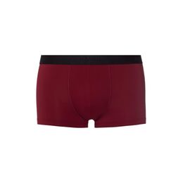 Hanro Pants Micro Touch in Cabernet | Gr.: M