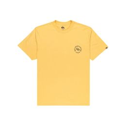 Quiksilver T-Shirt »Ev Summer Salt« Rattan XXL XXL Material: Jersey aus Baumwolle