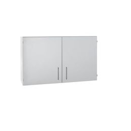 Labor-Hängeschrank, 1 Flügeltür, BxTxH 600 x 400 x 750 mm kaiserkraft