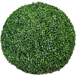 Buchsbaumkugel, UV-beständig, Ø 530 mm kaiserkraft