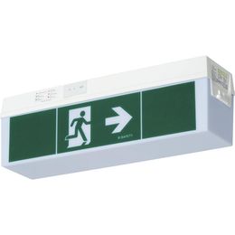 Notleuchte, C-LUX STANDARD UM 1h/2h/3h/8h LED AT, LiFePO4 3,2 V / 1,5 Ah kaiserkraft