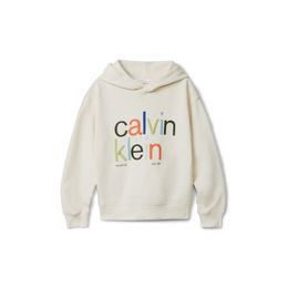 Calvin Klein Sweatshirt Jungen Gr&ouml;&szlig;e 164 taupe / hellgr&uuml;n / dunkelgr&uuml;n / orange