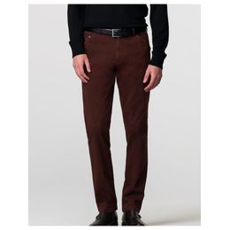 MEYER Baumwollchino Chicago in bordeaux | Gr.: W36/L30