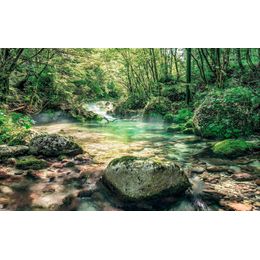 Vliestapete Komar "Digitaldruck Vlies - Tranquil Pool - Größe 400 x 250 cm", grün, B:400m L:250m, Vlies, Tapeten, Wohnzimmer, Schlafzimmer