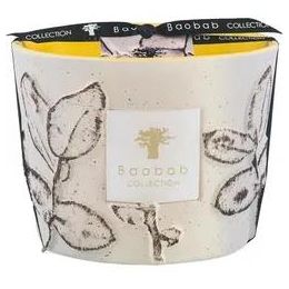 Baobab COLLECTION Candle Max 10 Folia Calanque
