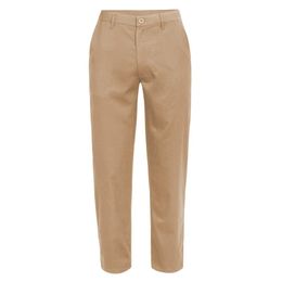 Icebreaker Outdoor Pants 'Berlin' male Beige size 34