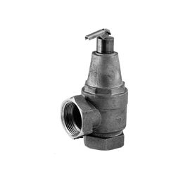 WILO Sicherheitsventil R 1 1/4, PN 16 (500814891)