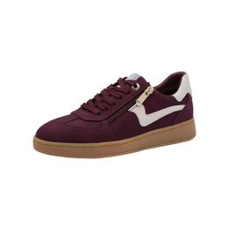 Marco Tozzi Sneaker in VINO COMB | Gr.: 39