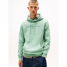 Tommy Jeans Hoodie »TJM REG LINEAR LOGO HOODIE EXT« mit Logo-Stickerei Cloudy Jade Multi XL XL Hoodie von Tommy Jeans