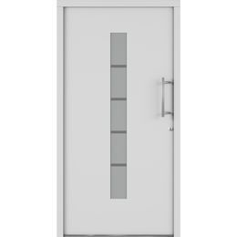 Roro Alu-Kunststoffhaust&uuml;r 'Calg' 1100 x 2100 mm DIN R