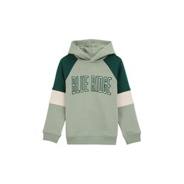 WE Fashion Sweatshirt boy Green size 122/128