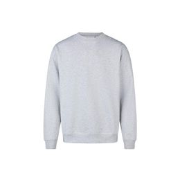 Cleptomanicx Sweatshirt 'Crewneck Ligull Classic' male Grey size XL