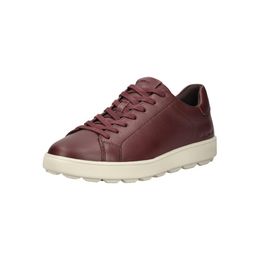 Geox Sneaker in Weinrot | Gr.: 41