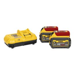 Dewalt Starter-Set 2xAkku 54V /108 Wh DCB118T2-QW)