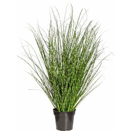 Kunstgras Creativ green "Miscanthus Zebrinus", grün, H:110cm, Kunststoff, Kunstpflanzen