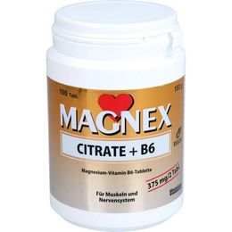 Magnex Citrate+B6 vegan laktosefrei zuckerfrei Tab 100 St