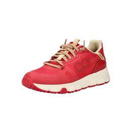 Tenhaag Sneaker in Rot | Gr.: 40