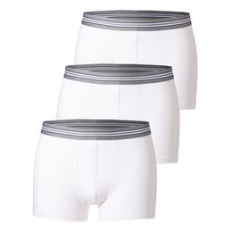 Haasis Bodywear Panty 'PIMA' male White size M