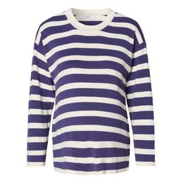 Noppies Still-Pullover Arendal in Skipper Blue | Gr.: XL