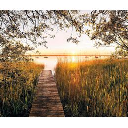 Vliestapete Komar "Digitaldruck Vlies - Lakeside - Größe 300 x 250 cm", grün, B:300m L:250m, Vlies, Tapeten, Wohnzimmer, Schlafzimmer