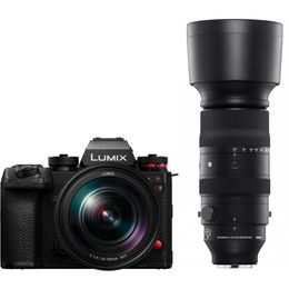 Panasonic Lumix DC-S1RII+S 24-105mm f4 + Sigma 60-600mm f4,5-6,3 L-Mo