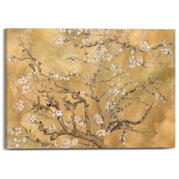 Reinders! Leinwandbild »Van Gogh - almondblossom« Wohnzimmer - Gold - Leinwand - Berühmte Künstler - 70x50 cm Farbe Bild(er): Gold