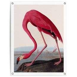 Reinders! Poster »Audubon Flamingo« Garten - Rosa - Leinwand - Tiere - 60x80 cm Farbe Bild(er): Rosa