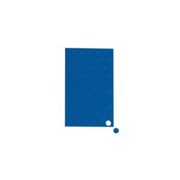 Maul Magnetsymbole Kreis, 50 St./Btl.
