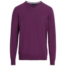 VanVaan Herren Strickpullover mit V-Ausschnitt