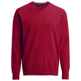 VanVaan Herren Strickpullover mit V-Ausschnitt