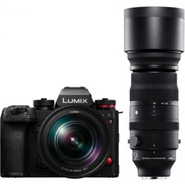 Panasonic Lumix DC-S1RII + S 24-105mm f4 + Sigma 150-600mm f5-6,3 L-Mo
