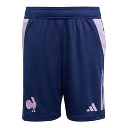 adidas Performance Sportshorts 'France' Jungen Gr&ouml;&szlig;e 140 dunkelblau / flieder