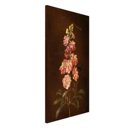Bilderwelten Magnettafel K&uuml;che Blumen - Barbara Regina Dietzsch - Eine rosa Garten-Levkkoje - Magnetwand - Magnetpinnwand - magnetisches Memoboard