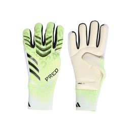 adidas Performance Athletic Gloves 'Predator Pro' male Green size 10