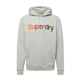 Superdry Sweatshirt male Grey size L