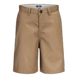 Jack & Jones JACK & JONES Junior Chino Shorts in Elmwood | Gr.: 176