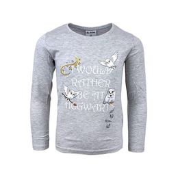 Langarmshirt Harry Potter Hedwig in Grau | Gr.: 104