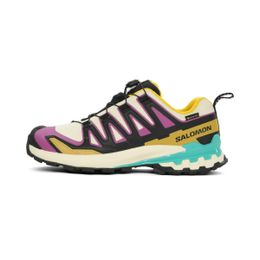 Salomon XA Pro 3D V9 GTX Herren